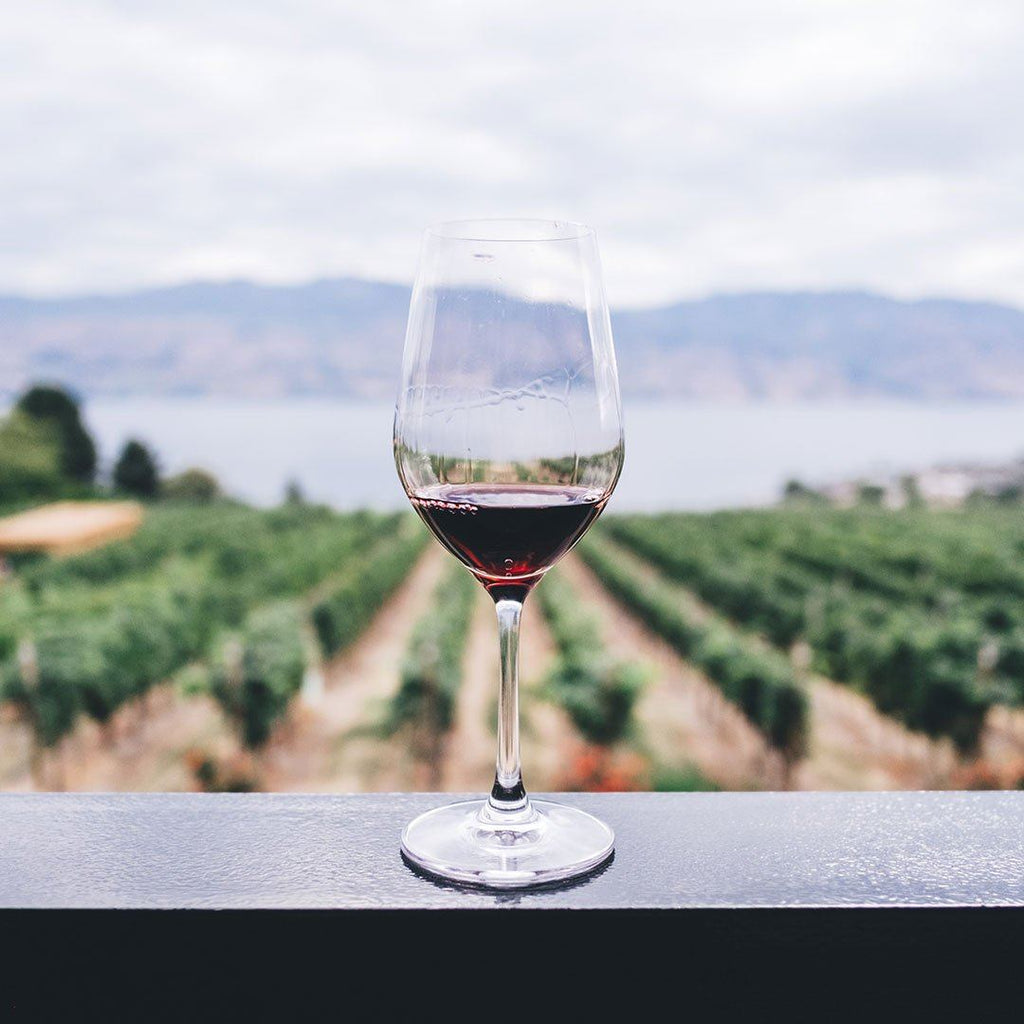 Alcohol and Sleep – The Goodnight Co.