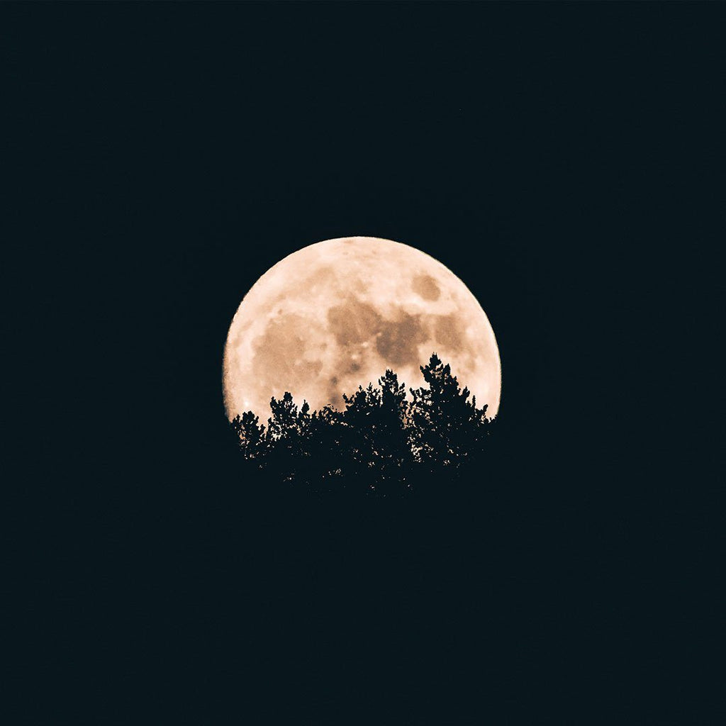 Moon Series: A Second Libra – The Goodnight Co.