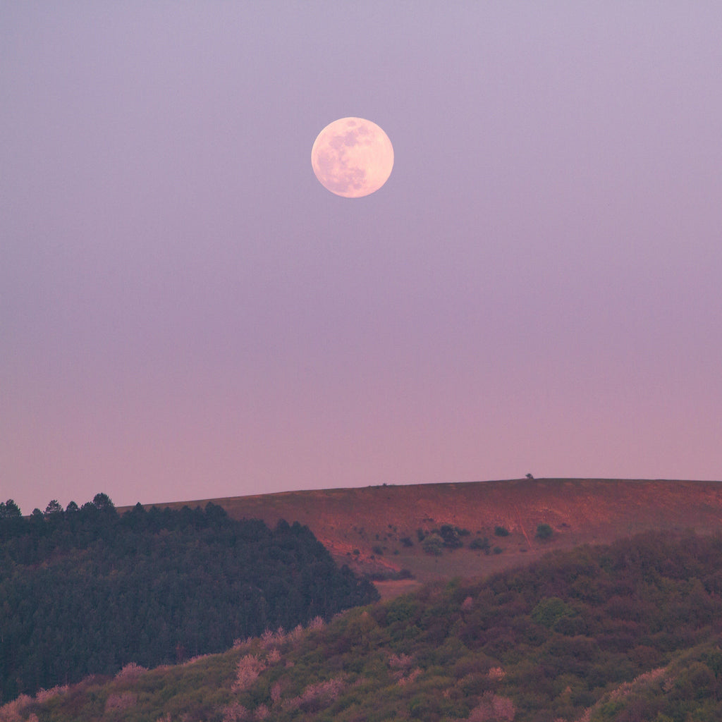 Your Sleep and Daylight Savings – The Goodnight Co.